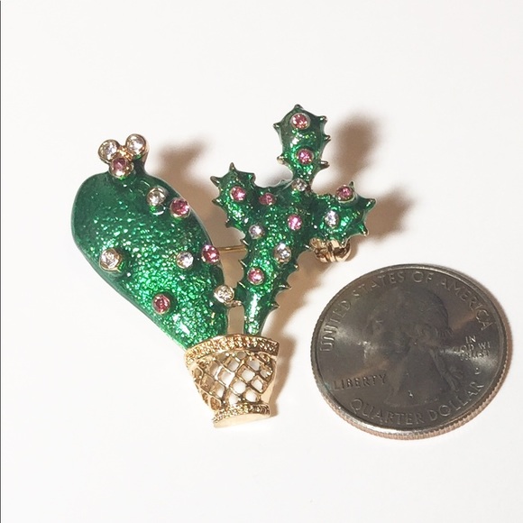 Jewelry | Cactus Brooch Pin | Poshmark